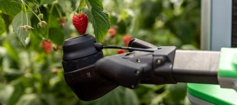 These 8 robot solutions automate fresh produce operations today ...